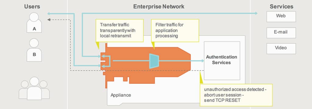 Link Capture™ Software Feature Overview For Napatech Fpga Smartnics