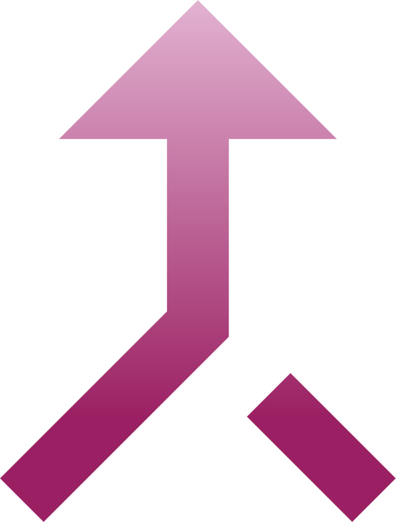 Link-Virtualization™ Software - Napatech